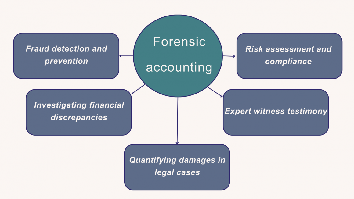 What Is Forensic Accounting: what do forensic accountants do?