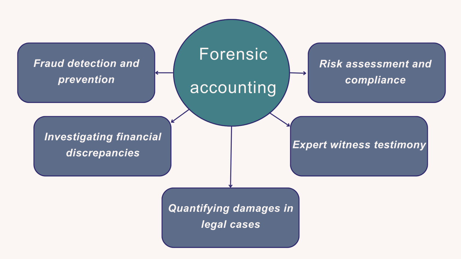 What Is Forensic Accounting: what do forensic accountants do?