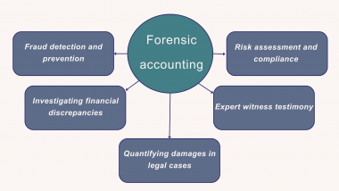 What Is Forensic Accounting: what do forensic accountants do?
