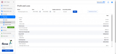 P&L Template: Understanding Profit and Loss Statement (Plus a Template ...