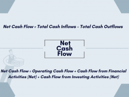 Net Cash Flow: A Quick Guide to Cash Flows for a Business Owner
