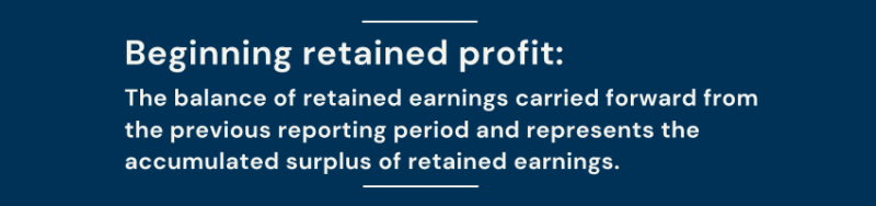 Retained Profit: Business Owners Overview