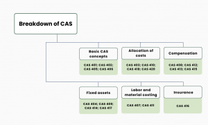 Cost Accounting Standards (CAS): Best Practices for Government Contractors